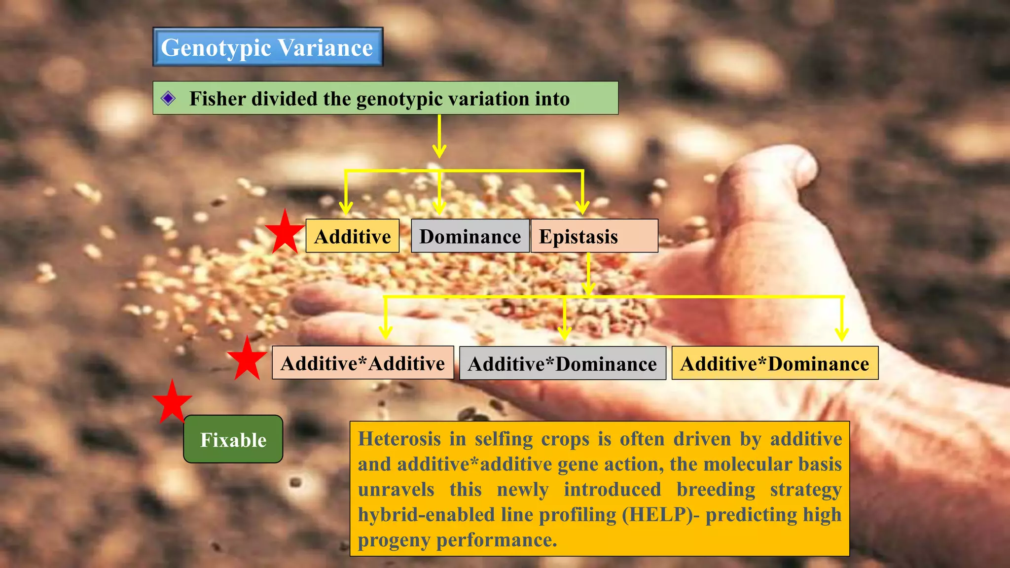 Cross the Best with the Best, and Select the Best: HELP in Breeding ...