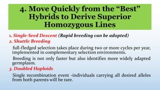 Cross the Best with the Best, and Select the Best: HELP in Breeding ...