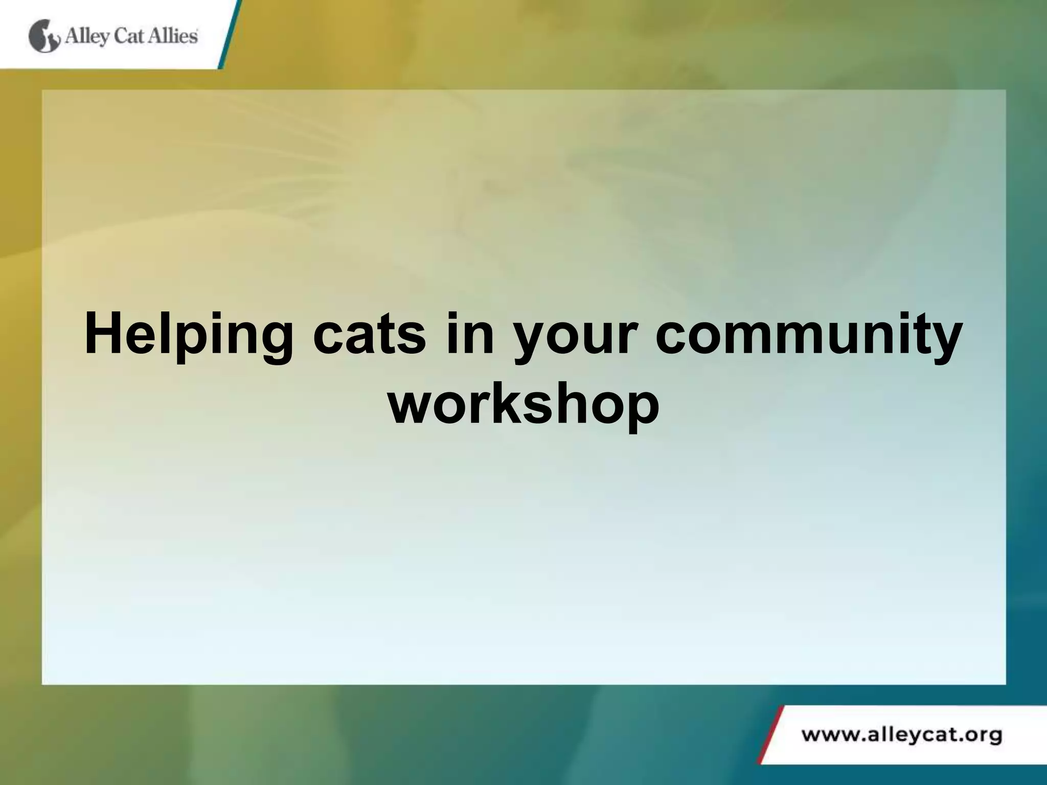 Helping cats in your community workshop | PPT