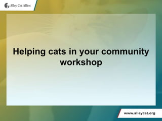 Helping cats in your community workshop | PPT