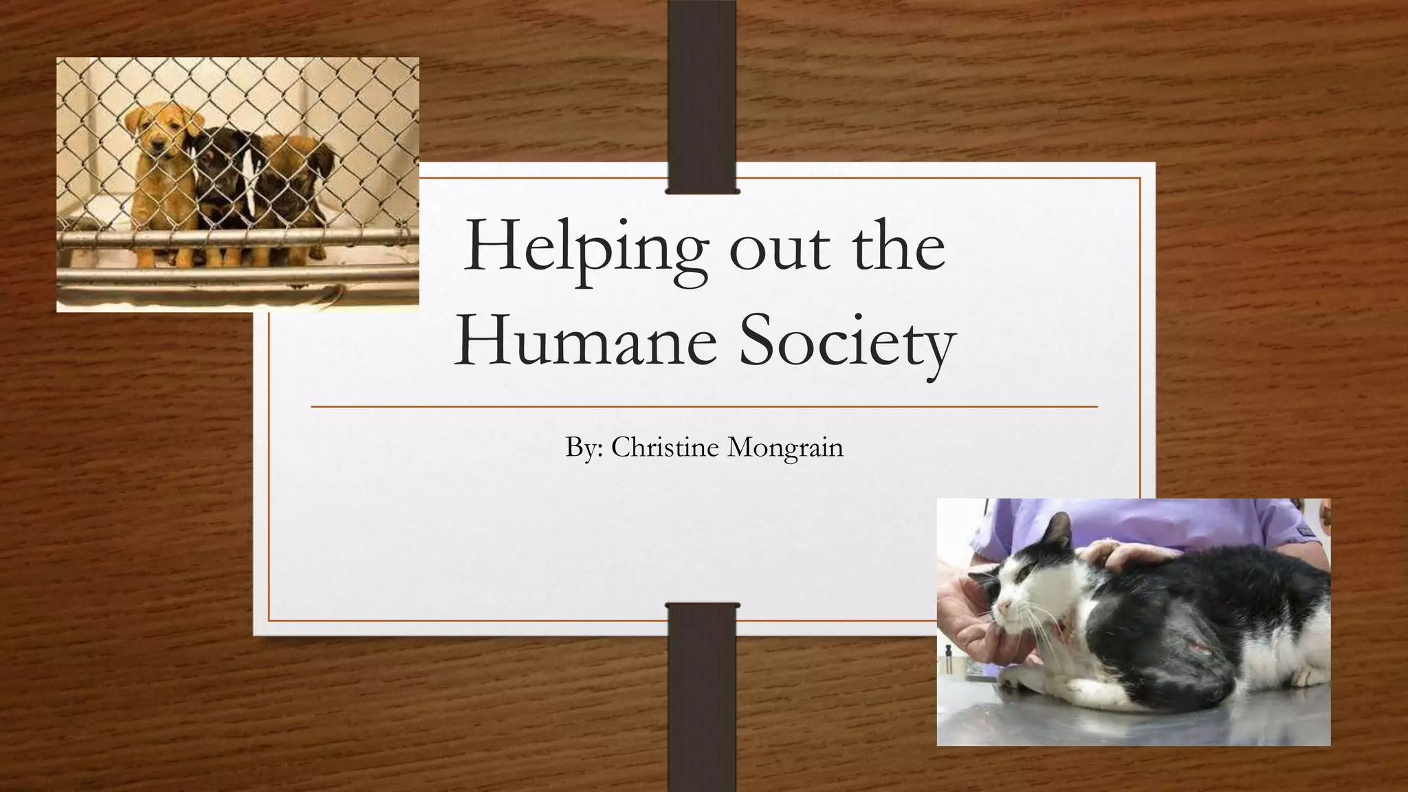 Helping out the humane society | PPT