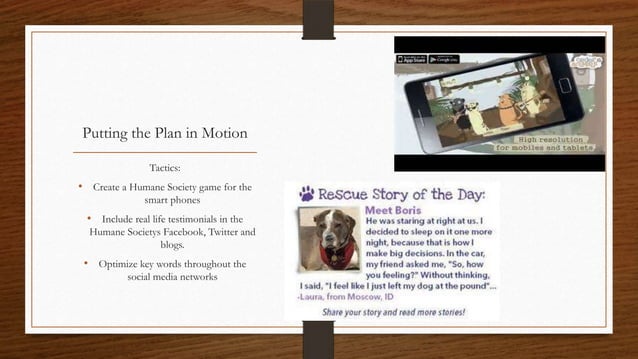 Helping out the humane society | PPT