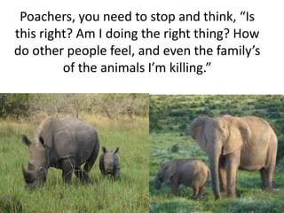 Help stomp out poaching by krystal | PPT
