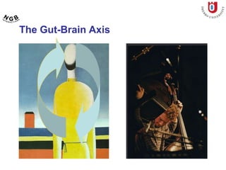 Why is the gut our second brain? Robert-J M Brummer | PPTX