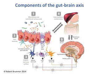 Why is the gut our second brain? Robert-J M Brummer | PPTX
