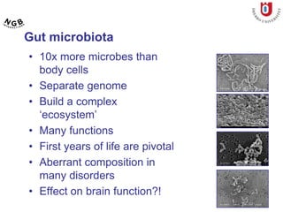 Why is the gut our second brain? Robert-J M Brummer | PPTX