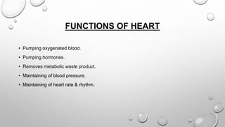 Physiology Of the Heart | PPTX