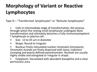 NON-MALIGNANT REACTIVE DISORDERS OF LYMPHOCYTES | PPTX