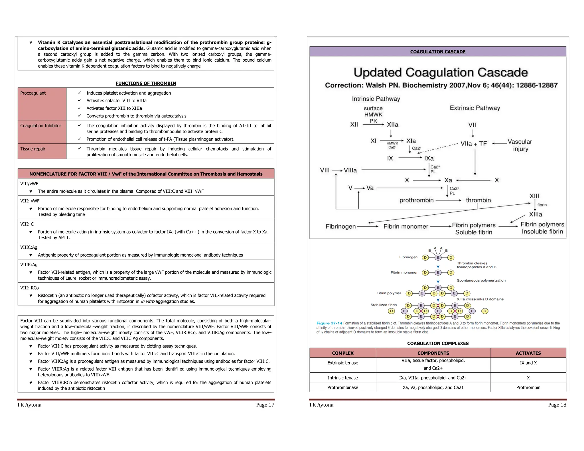 hema-2-reviewer (1).pdf Hematology Reviewer | PPT