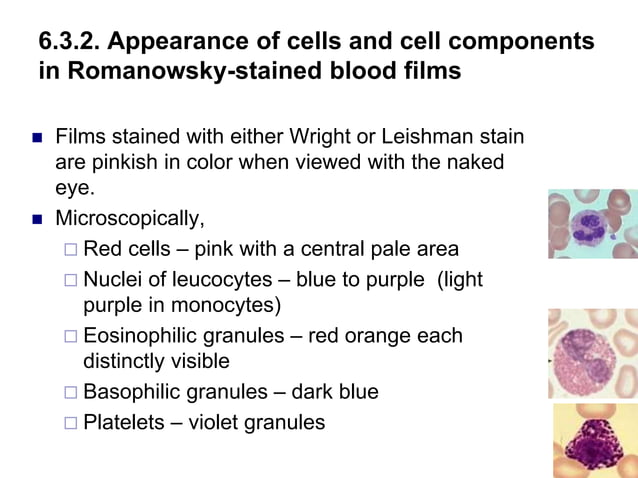 Hema -staining smears.ppt