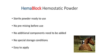 HemaBlock Hemostatic Powder | PPSX