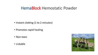 HemaBlock Hemostatic Powder | PPT