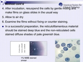 Hema I Chapter 13_Retics.ppt