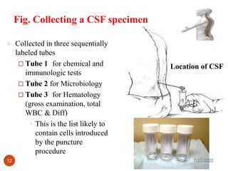 Hema I Chapter 14 CSF.ppt