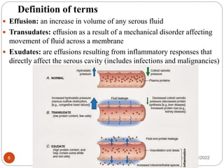 Hema I Chapter 14 CSF.ppt