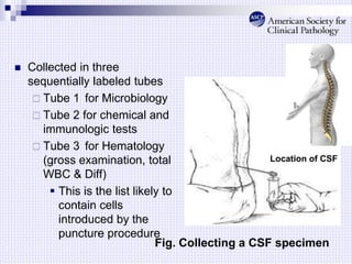 Hema I Chapter 14_CSF.ppt