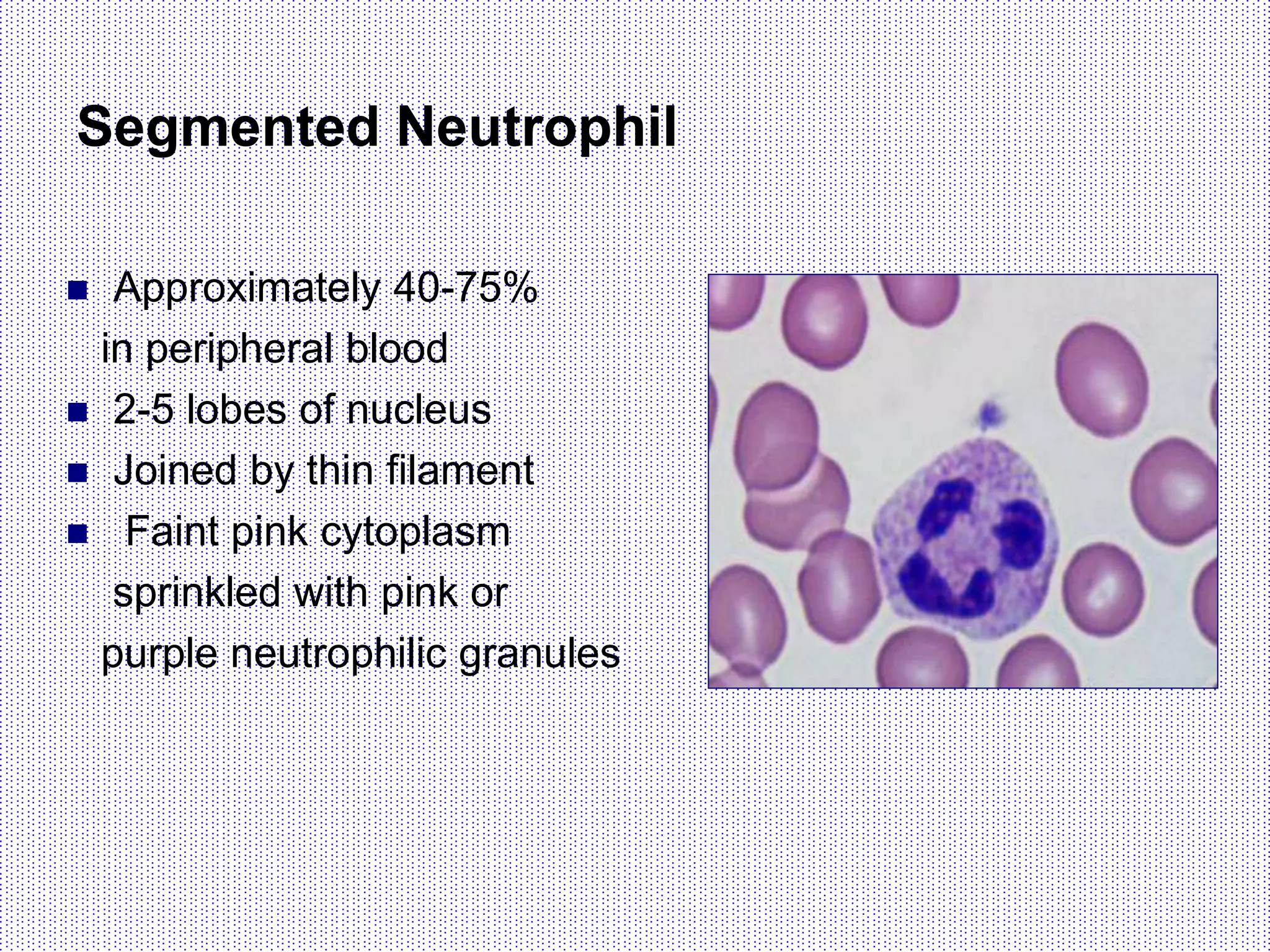 Hema I Chapter 8_Diff.ppt