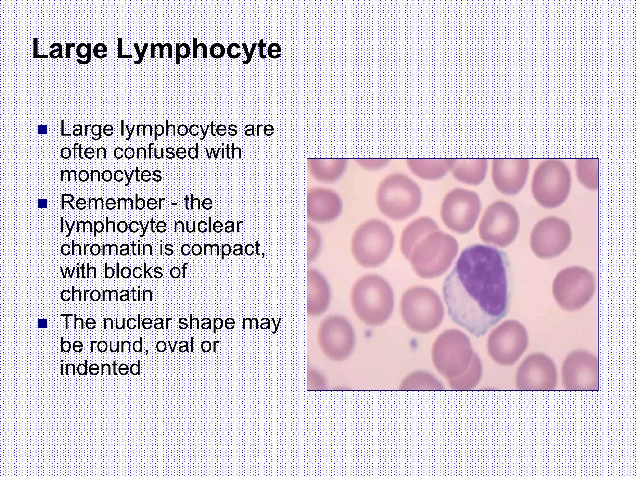 Hema I Chapter 8_Diff.ppt