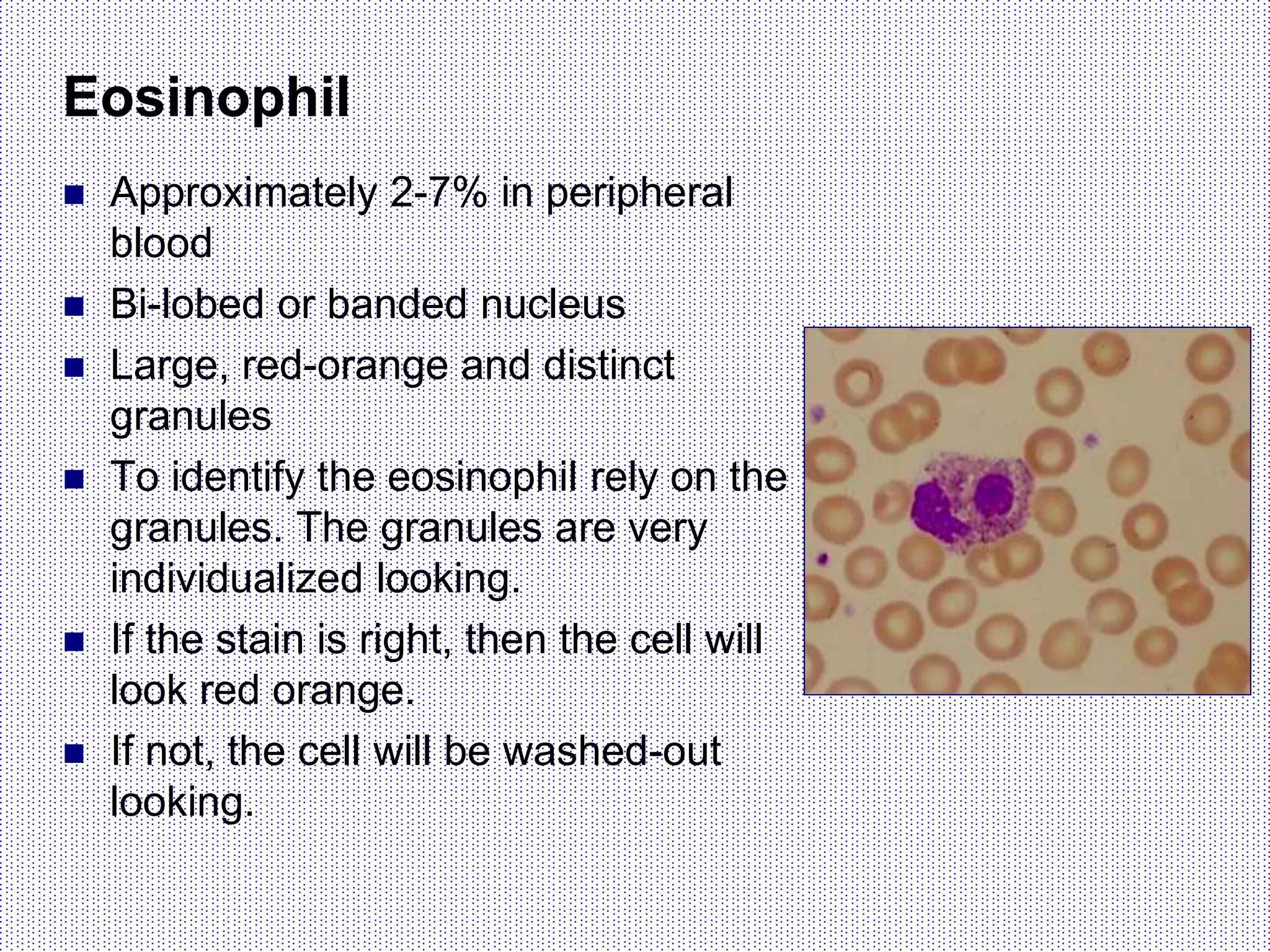 Hema I Chapter 8_Diff.ppt