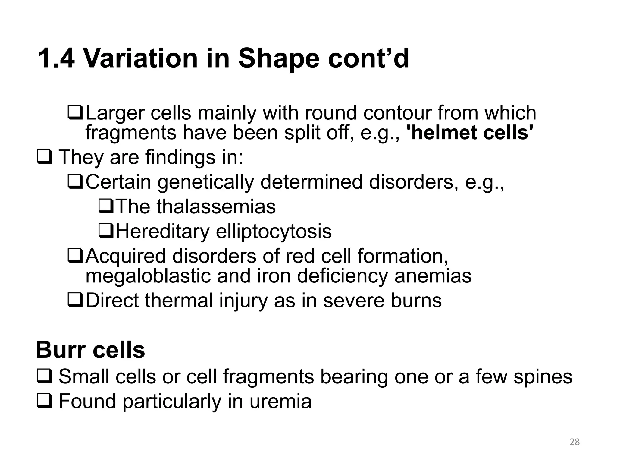 Hema II Chapter 2_RBC morphology study_AT.ppt