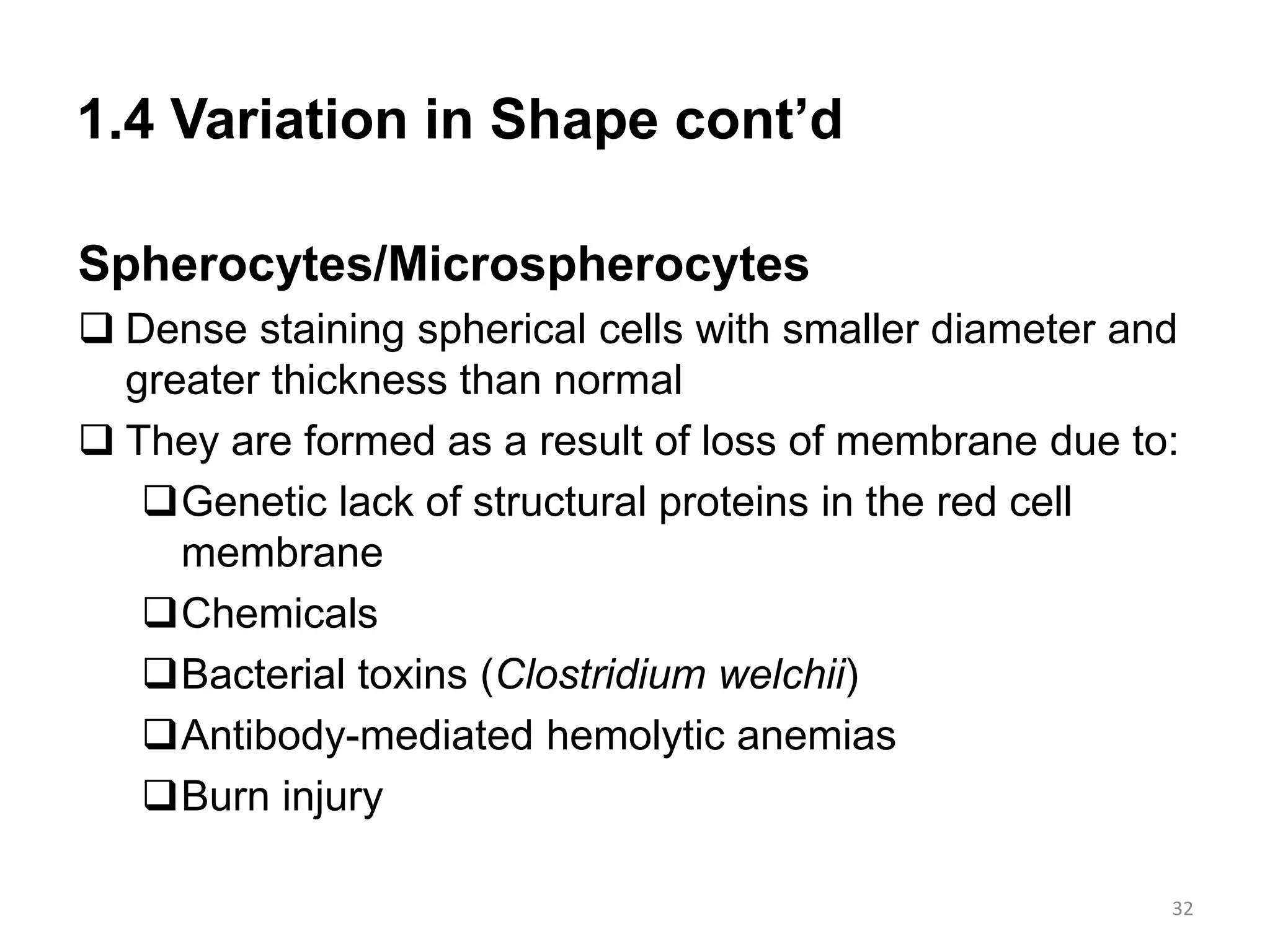 Hema II Chapter 2_RBC morphology study_AT.ppt