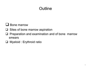 Hema II Chapter 7_BM examination.ppt