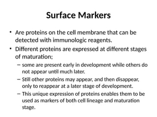 Hema II Chapter 8 _hematological cell markers.pptx