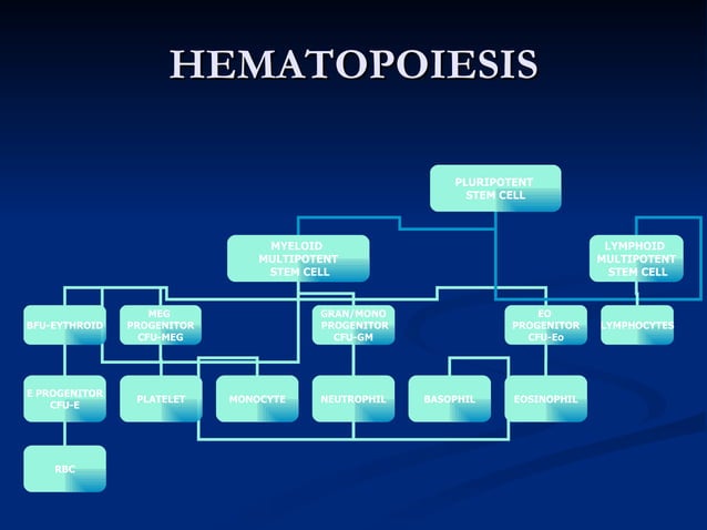 Hema intro anemia | PPT