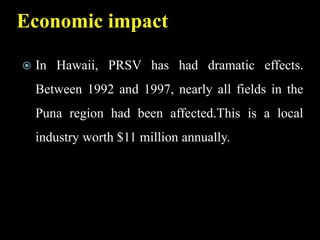 Papaya ring spot disease | PPTX