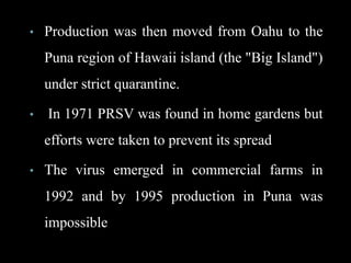 Papaya ring spot disease | PPTX
