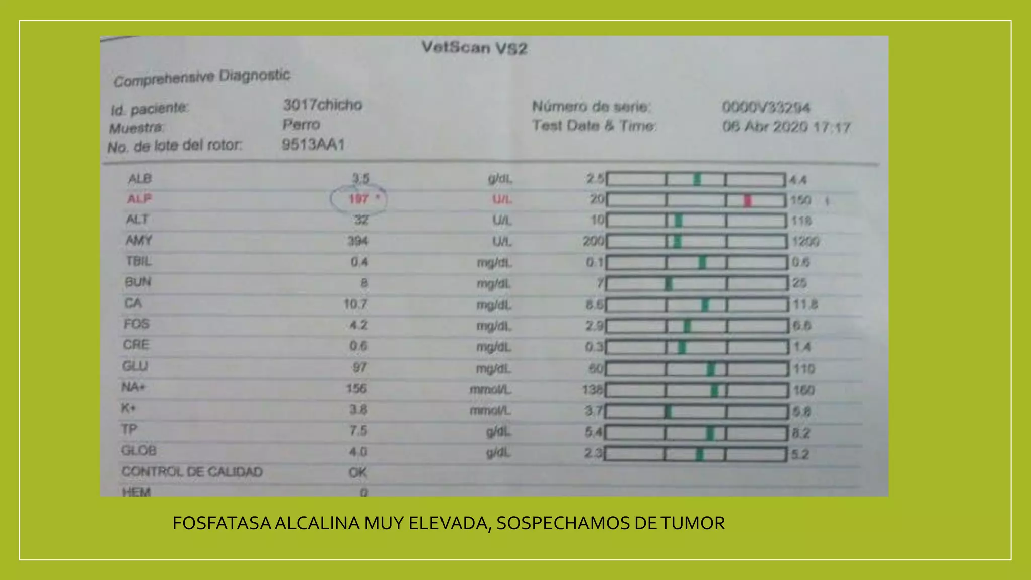 Hemangiopericitoma nasosinusal en un canino | PDF