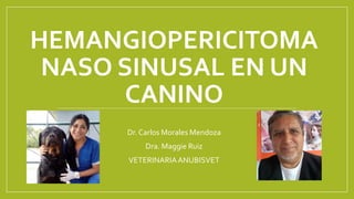 Hemangiopericitoma nasosinusal en un canino | PDF
