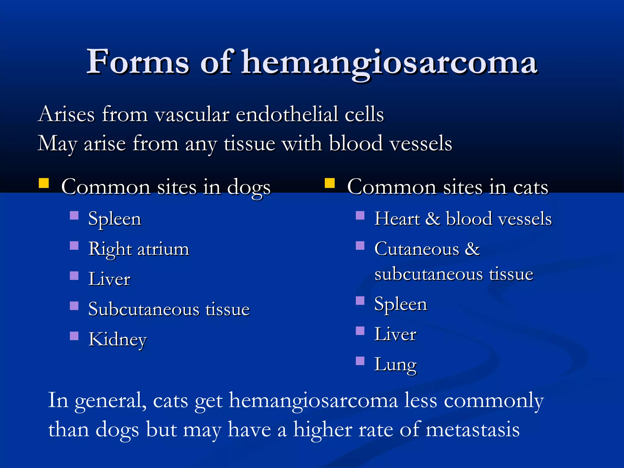 Hemangiosarcoma daubs aseh | PPT