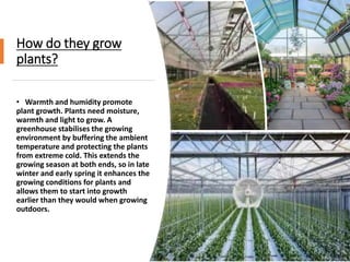greenhouse | PPTX | Gardening | Home & Garden