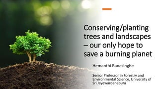 We cannot live without trees- Importance of growing trees with special ...