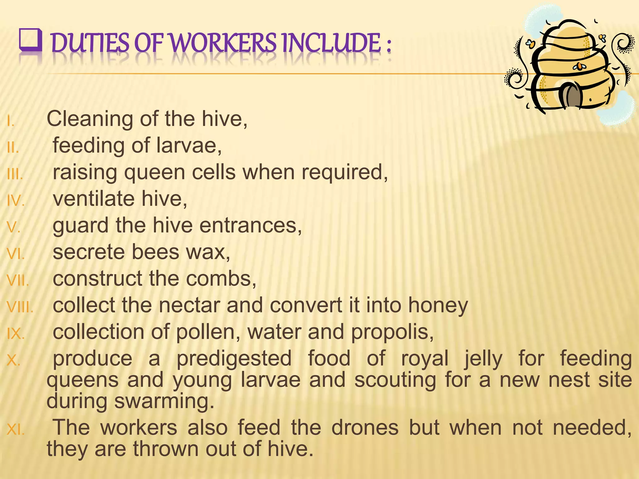 COLONY ORGANIZATION AND LIFE CYCLE OF HONEY BEE | PPTX