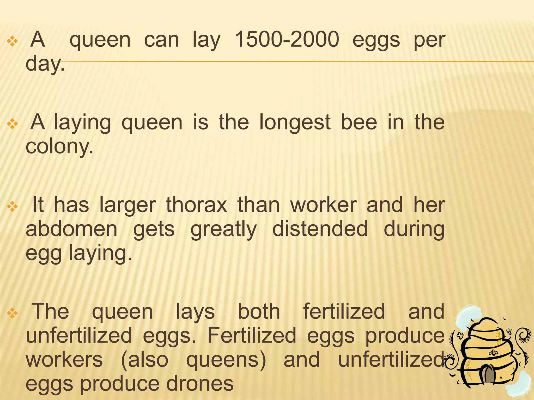 COLONY ORGANIZATION AND LIFE CYCLE OF HONEY BEE | PPTX