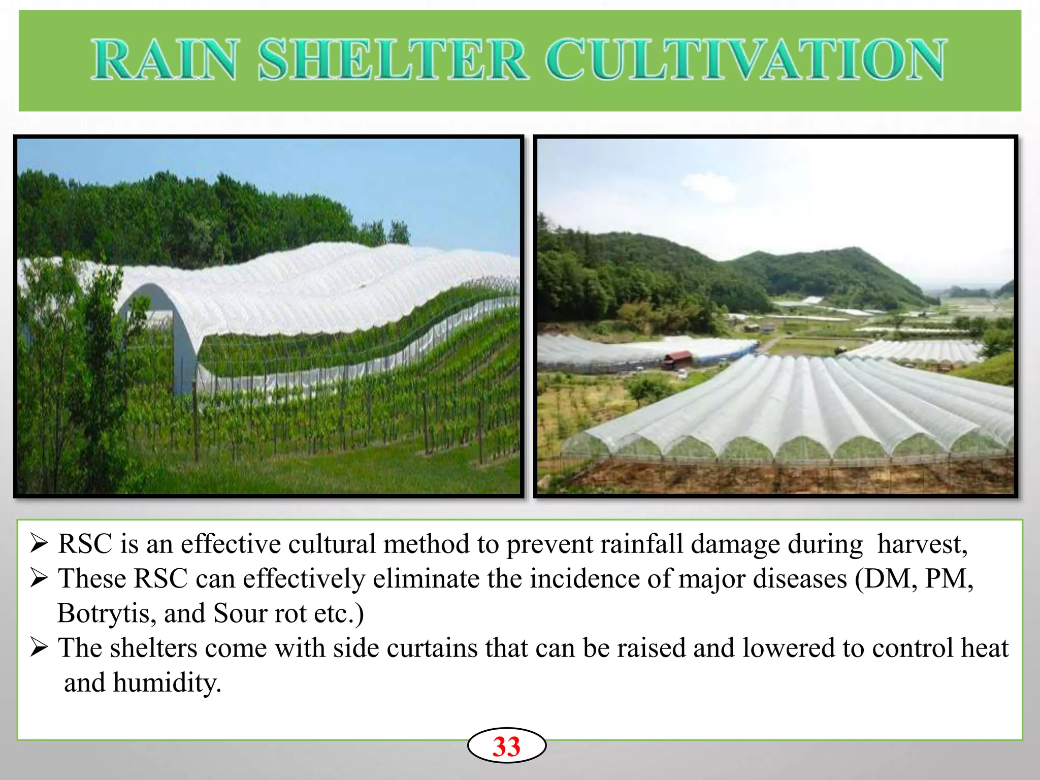 Protected Cultivation of Vegetable crops Present Status and Futures ...