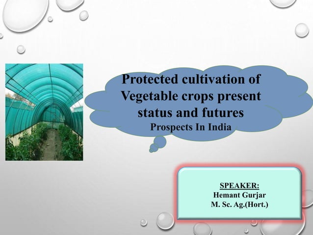 Protected Cultivation of Vegetable crops Present Status and Futures ...