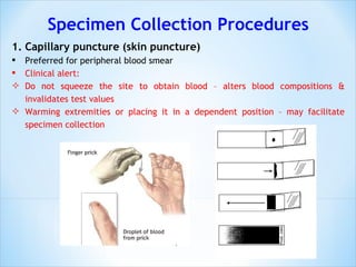 Hema practical 02 hematology | PPT