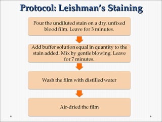 Hema practical 05 hema staining | PPT