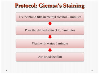Hema practical 05 hema staining | PPT