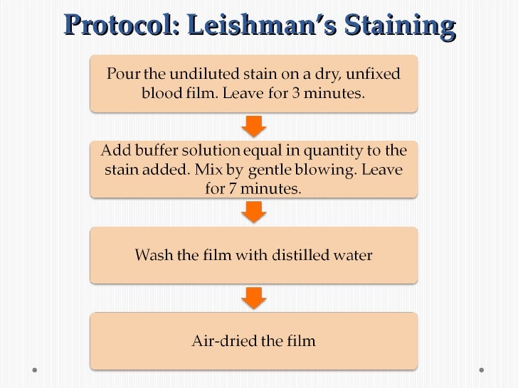 Hema practical 05 hema staining