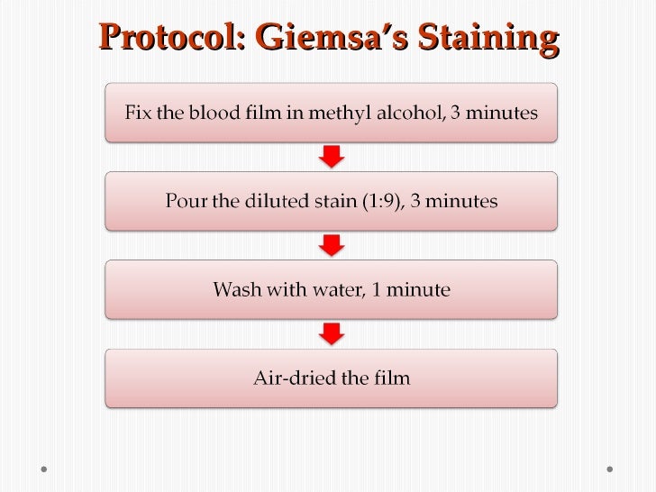 Hema practical 05 hema staining