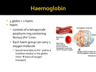 Hematinic I ARF: Iron | PPT