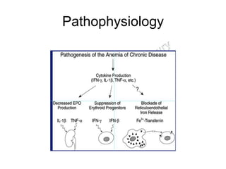 Anemia, Microcytic Hypochromic and Macrocytic anemia | PPT