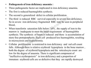 Anemia, Microcytic Hypochromic and Macrocytic anemia | PPT