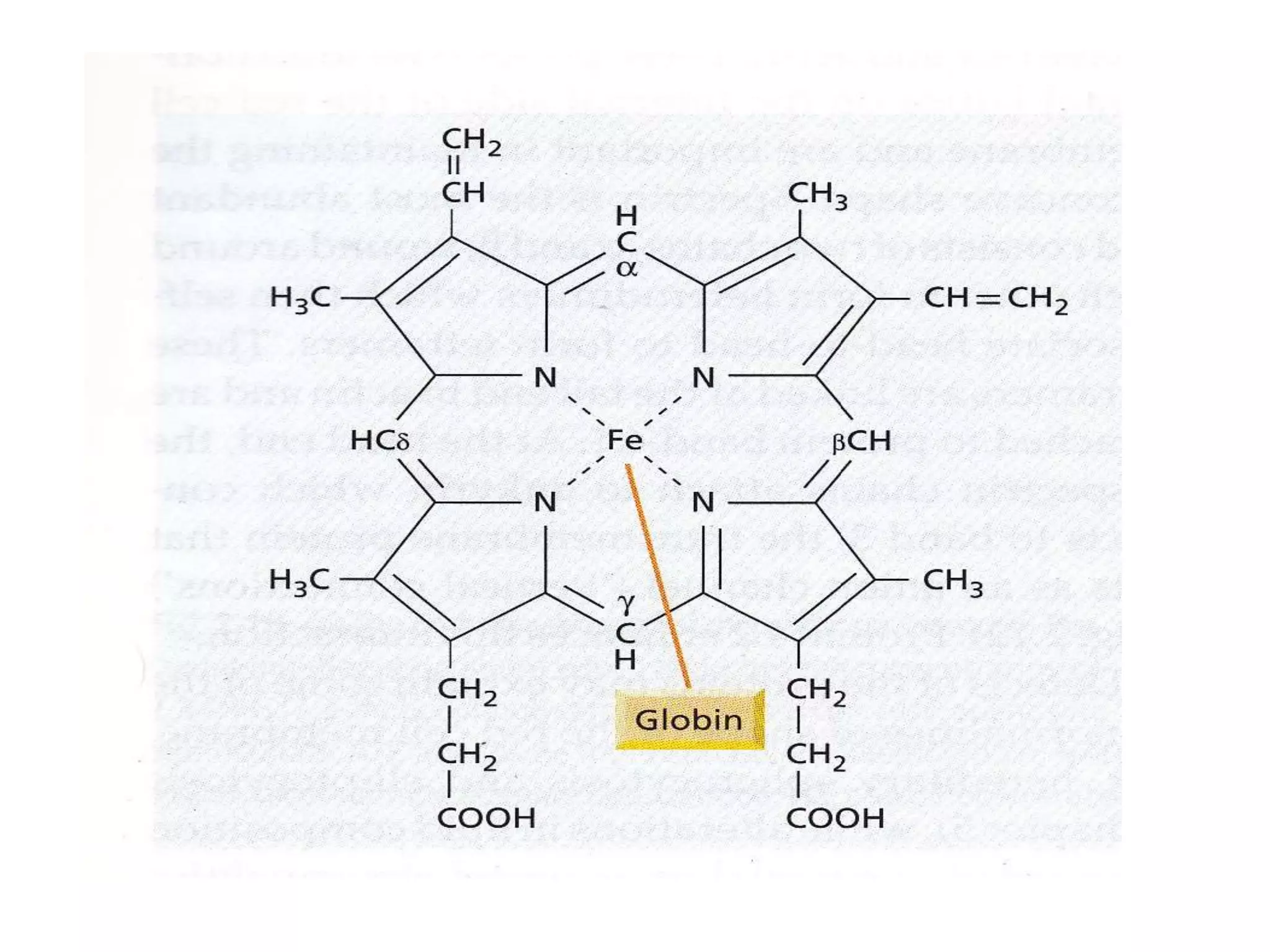 Haemolytic anemia,Thalassemia, sickle cell Anemia) | PPT
