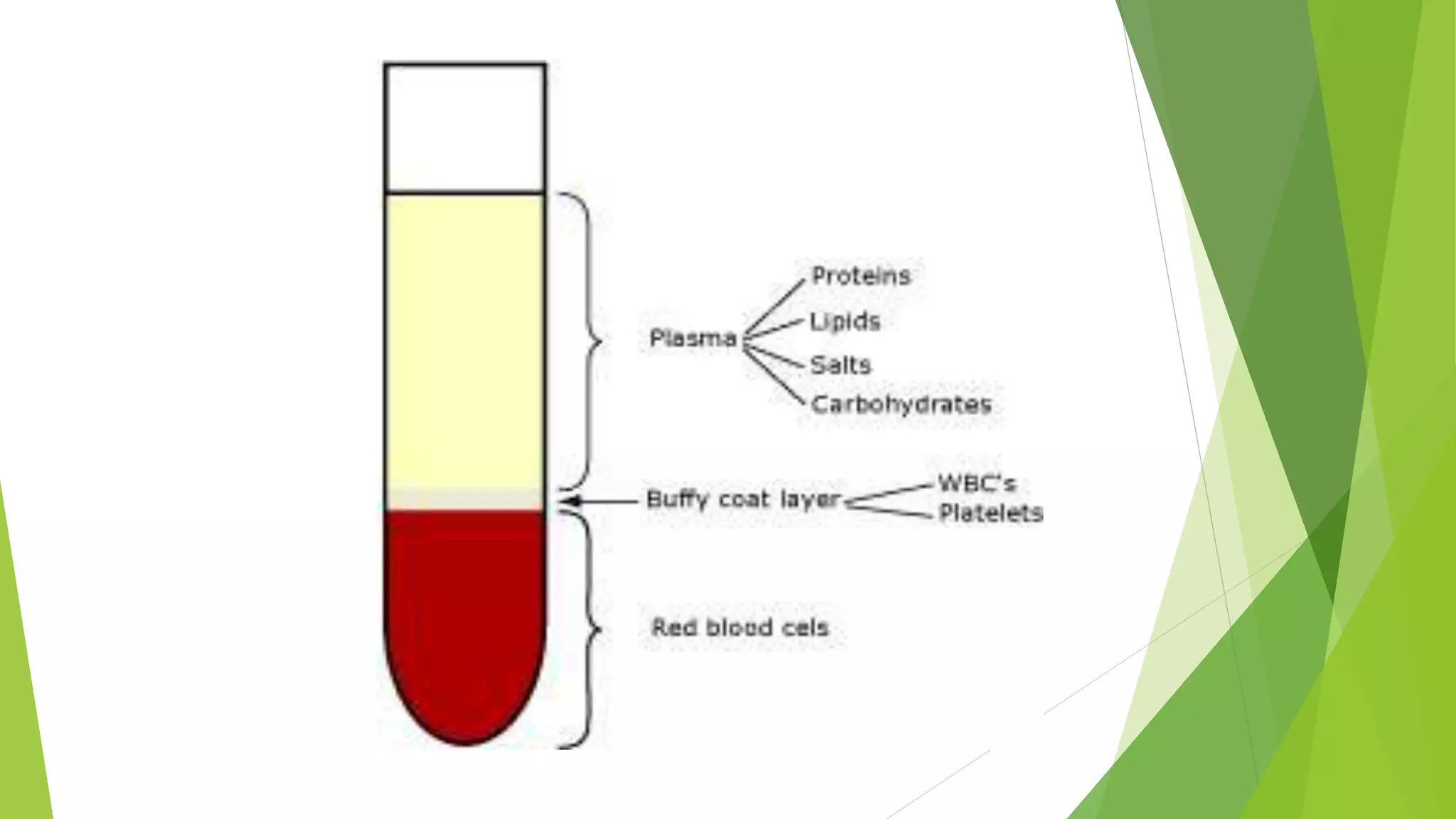 Hematocrit & rbc | PPTX