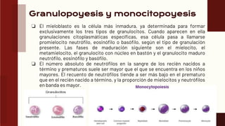 HEMATOLOGÍA DEL RECIÉN NACIDO Y EL ADULTO.pptx